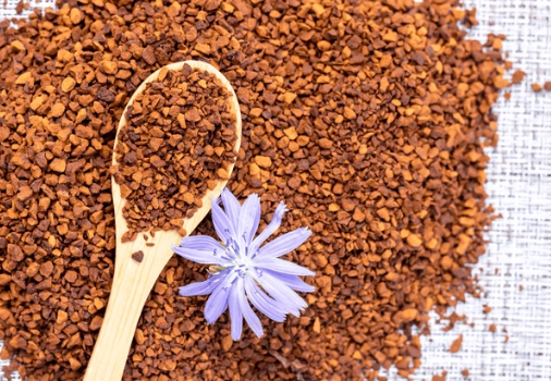 Chicory in Coffee: Why Chicory Coffee Is a South Indian Favourite ...