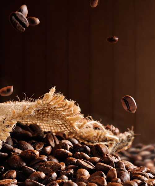 Love Kaapi | Fresh Roasted Coffee Beans from Chikmagalur